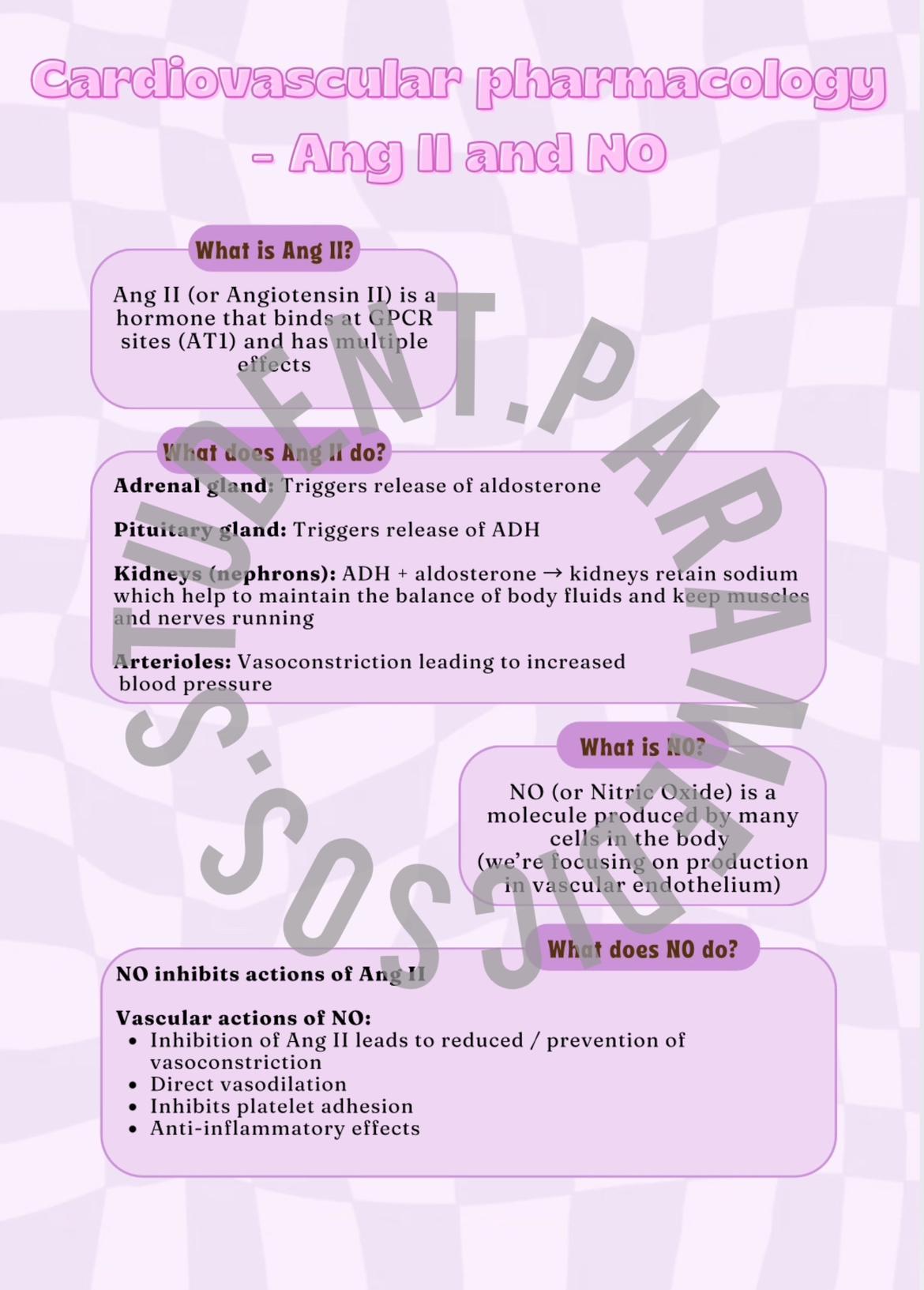 Cardiovascular Pharmacology SET 1 - Student Paramedic Revision Sheet - Etsy