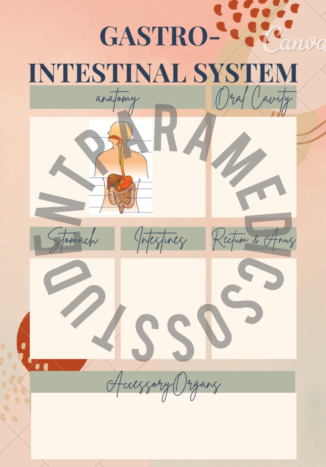 Body Systems (anatomy and Physiology) - Student Paramedic Revision ...