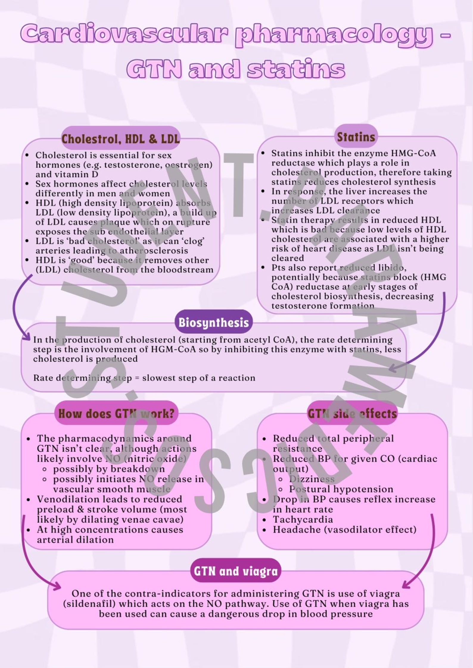 Cardiovascular Pharmacology SET 1 - Student Paramedic Revision Sheet - Etsy