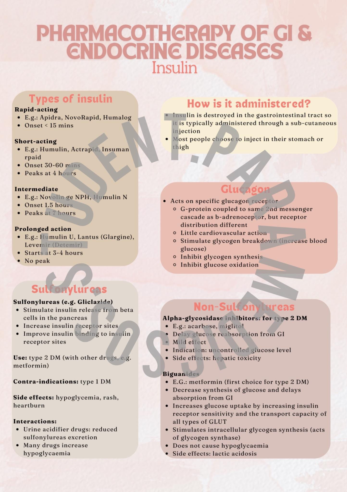 GI and Endocrine Pharmacotherapy / Pharmacology- Student Paramedic ...