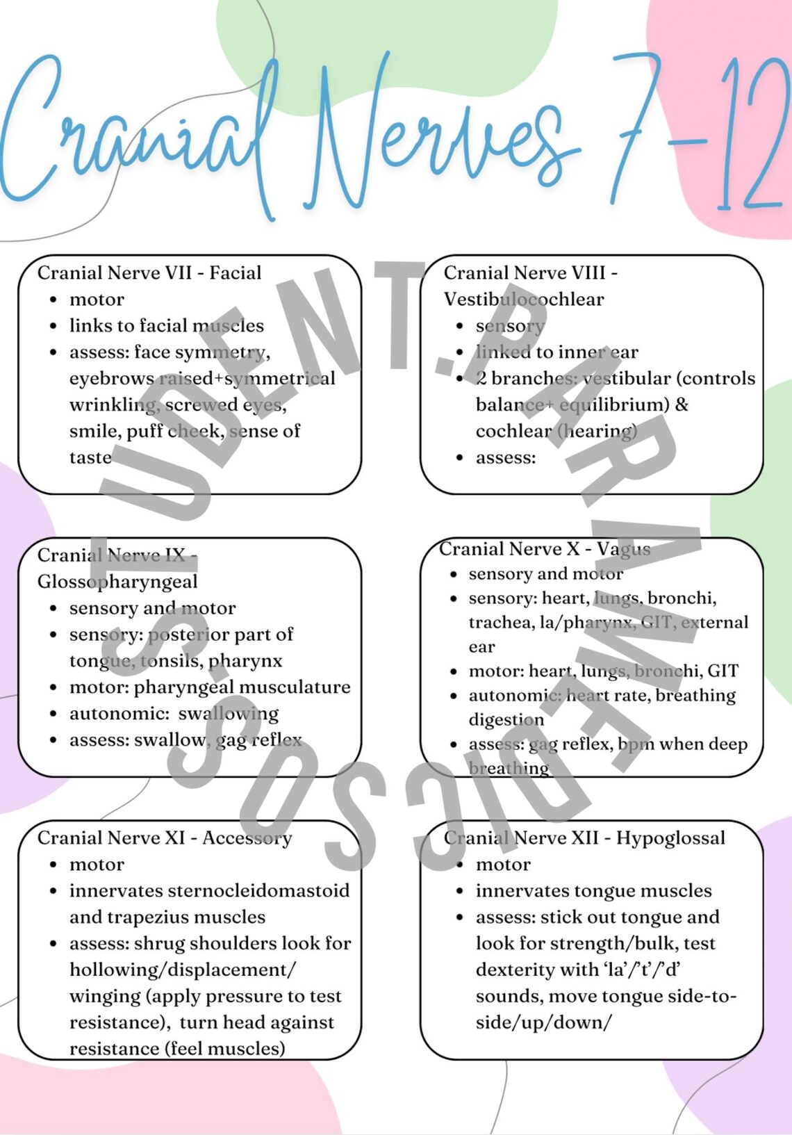 Cranial Nerves, Their Functions and Assessment - Student Paramedic ...