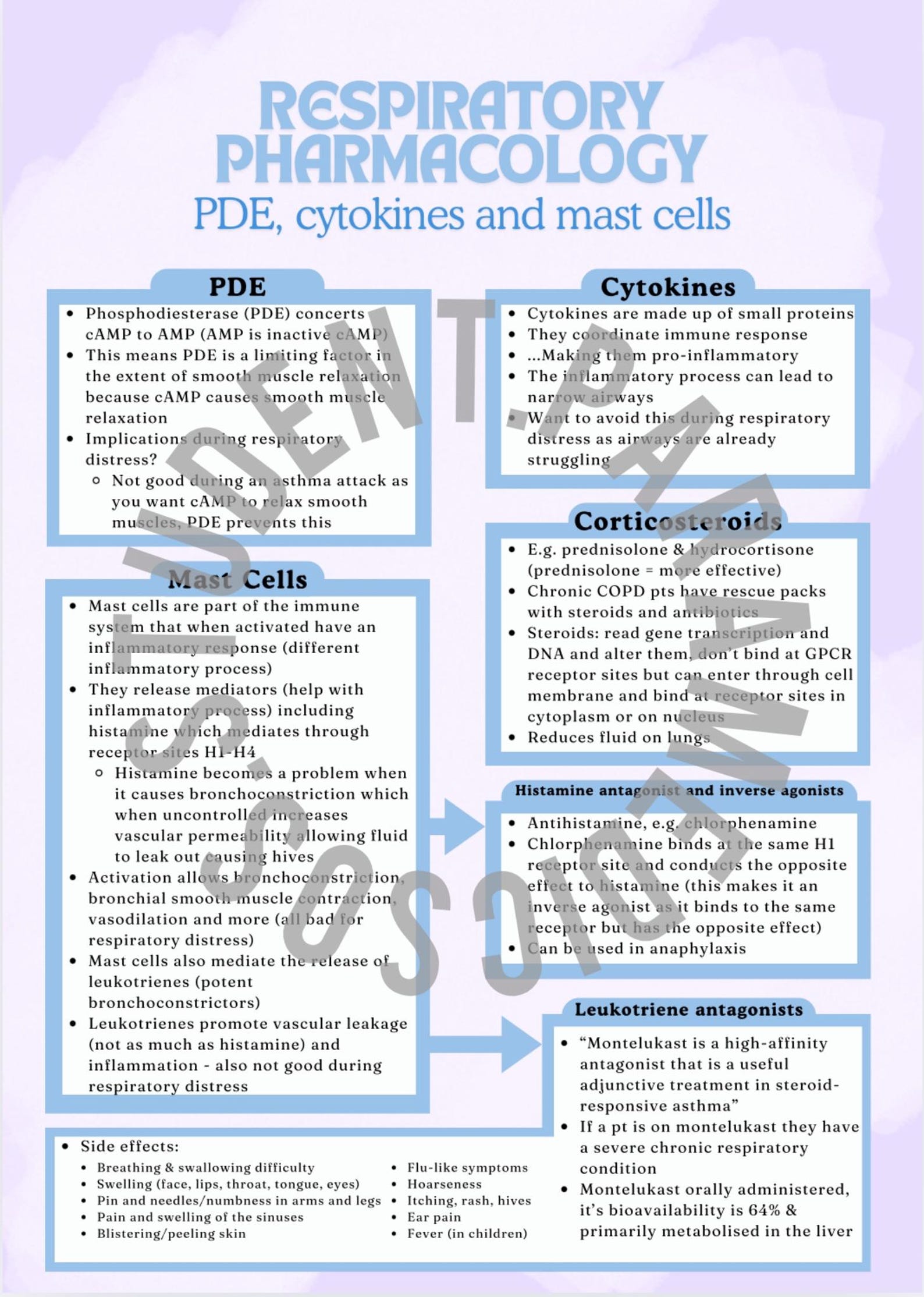 Respiratory Pharmacology - Student Paramedic Revision Worksheet - Etsy