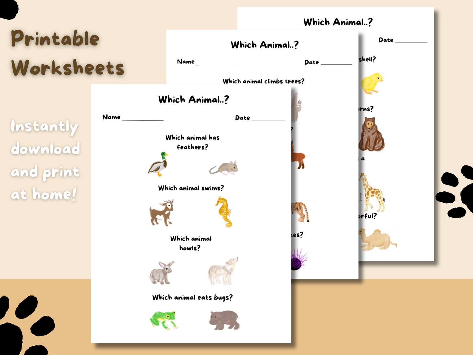 Printable Animal Worksheets / Learning Worksheets / English Lessons ...