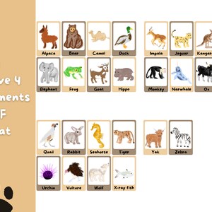 Printable Animal Flashcards/ Learning Flashcards / English Vocabulary ...