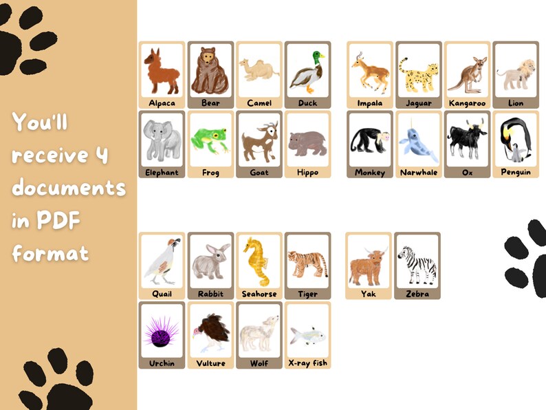 Printable Animal Flashcards/ Learning Flashcards / English Vocabulary ...