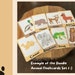 Printable Animal Flashcards/ Learning Flashcards / English Vocabulary ...