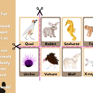 Printable Animal Flashcards/ Learning Flashcards / English Vocabulary ...