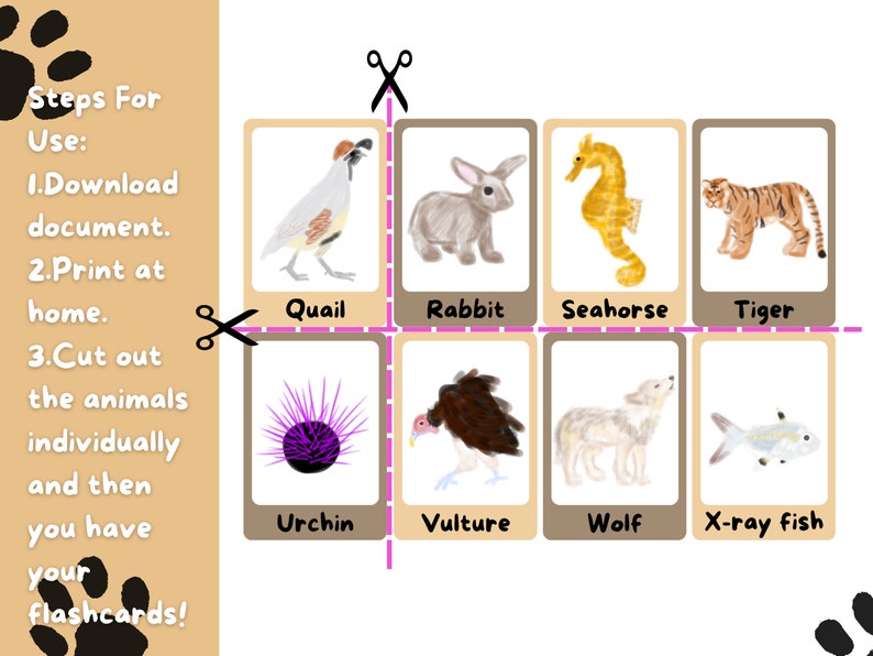 Printable Animal Flashcards/ Learning Flashcards / English Vocabulary ...