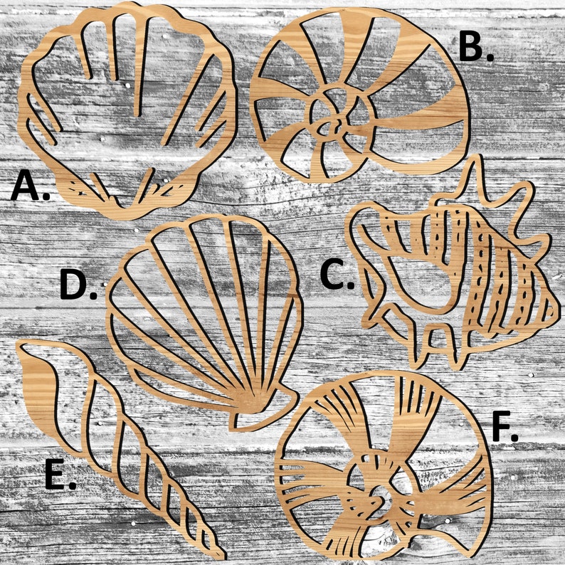 Unfinished Sea Shells or Painted Wood Cutouts Set, Wooden Seashell ...
