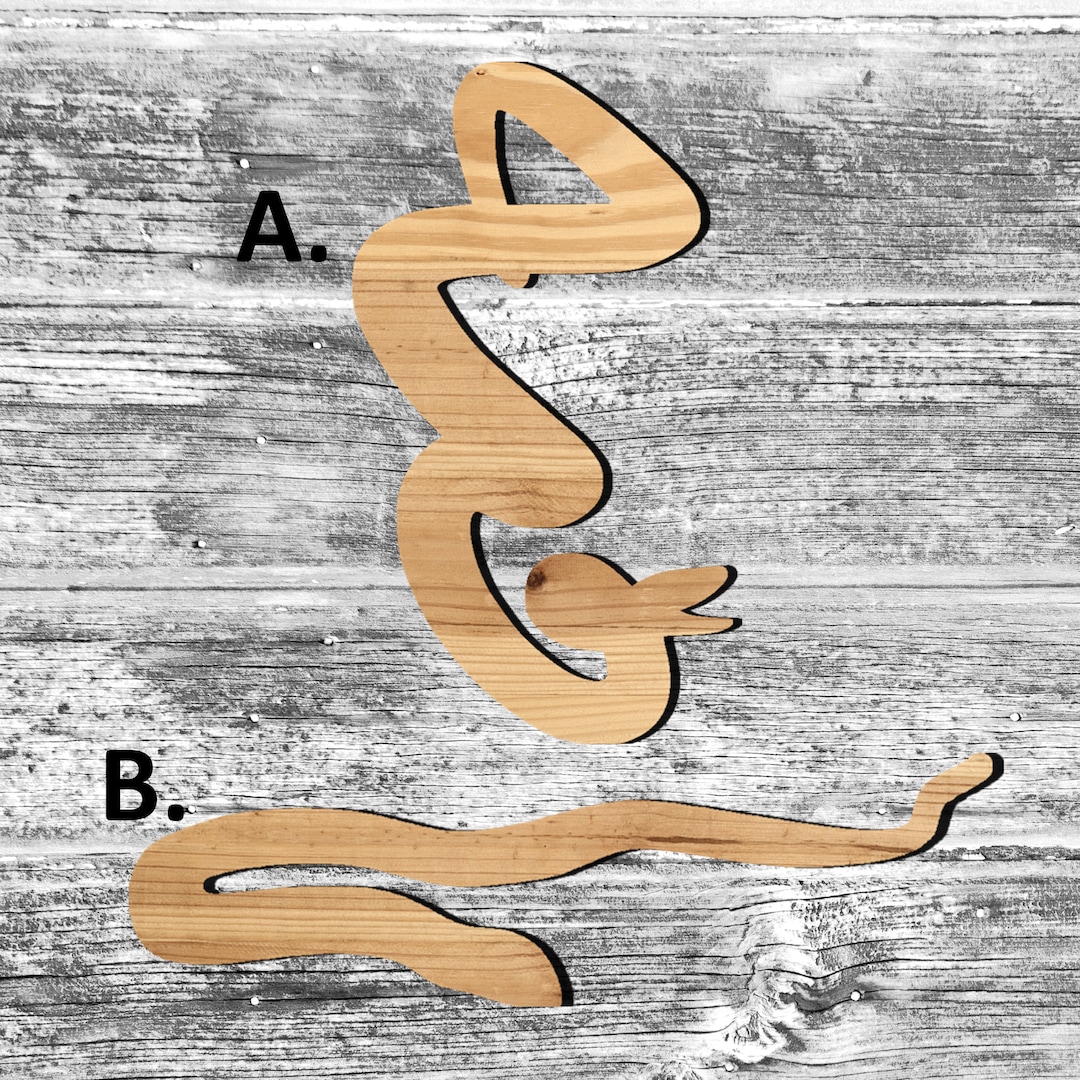 Unfinished Snake or Painted Wood Cutouts Set Wooden Snakes Snake ...