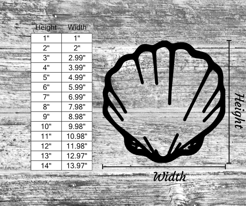 Unfinished Sea Shells or Painted Wood Cutouts Set, Wooden Seashell ...