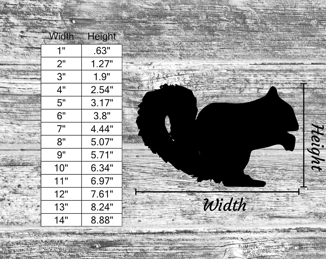 Unfinished Squirrels or Painted Wood Cutouts Set Wooden Squirrels ...