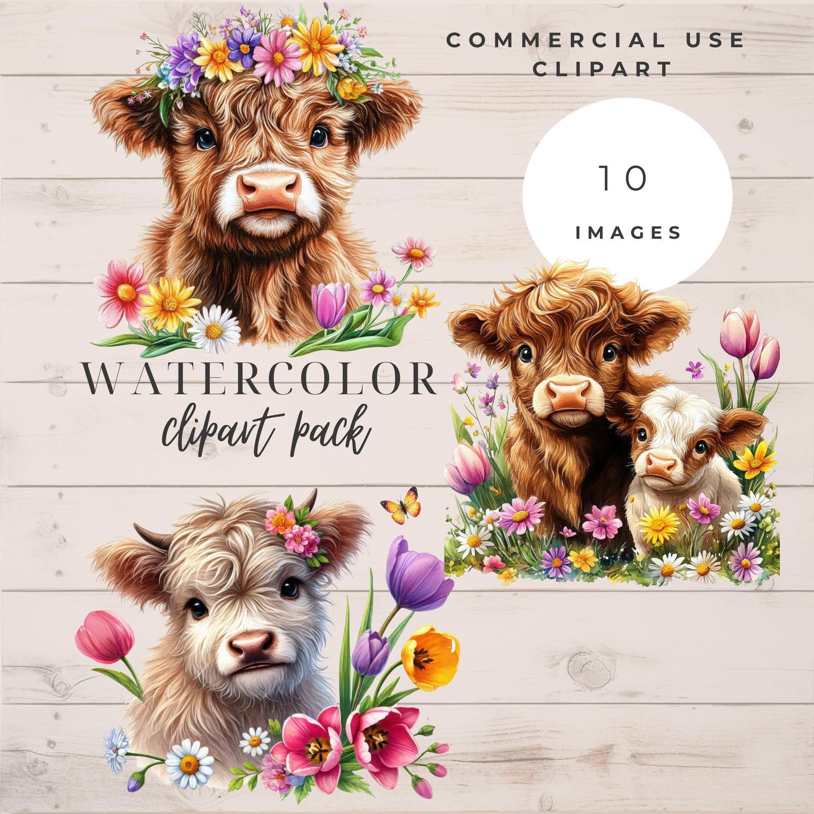 Springtime Highland Cow Clipart - Set of 10 Watercolor Baby Cows With ...