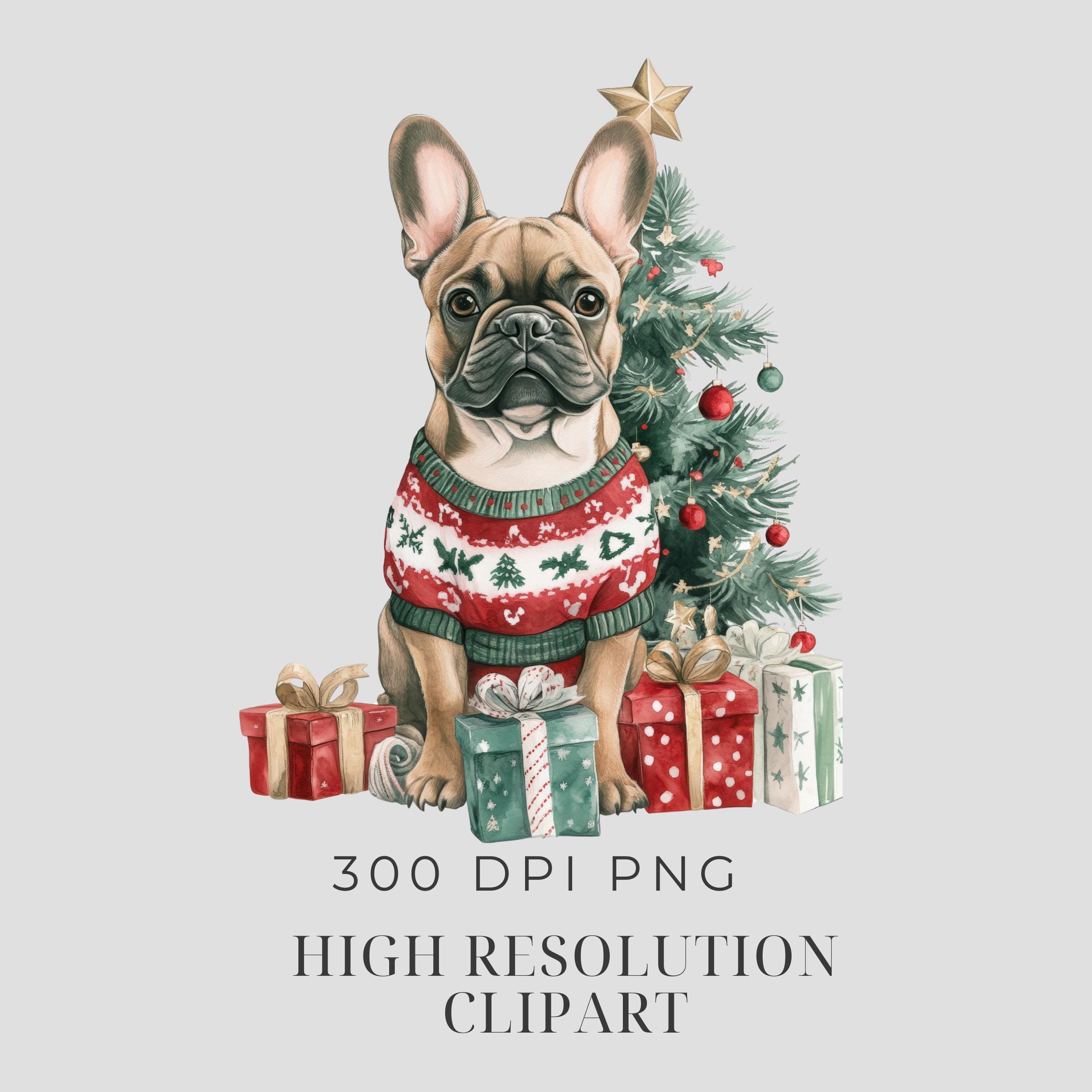 Christmas French Bulldog Clipart, Sublimation, Scrapbook, Frenchie Png ...