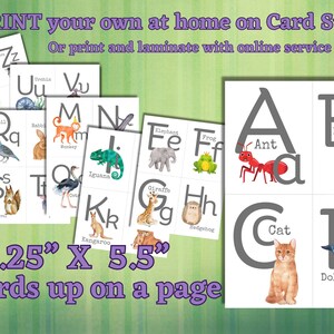 Printable Animal Alphabet Flash Cards BONUS Numerals 1 - 9 Adorable ...