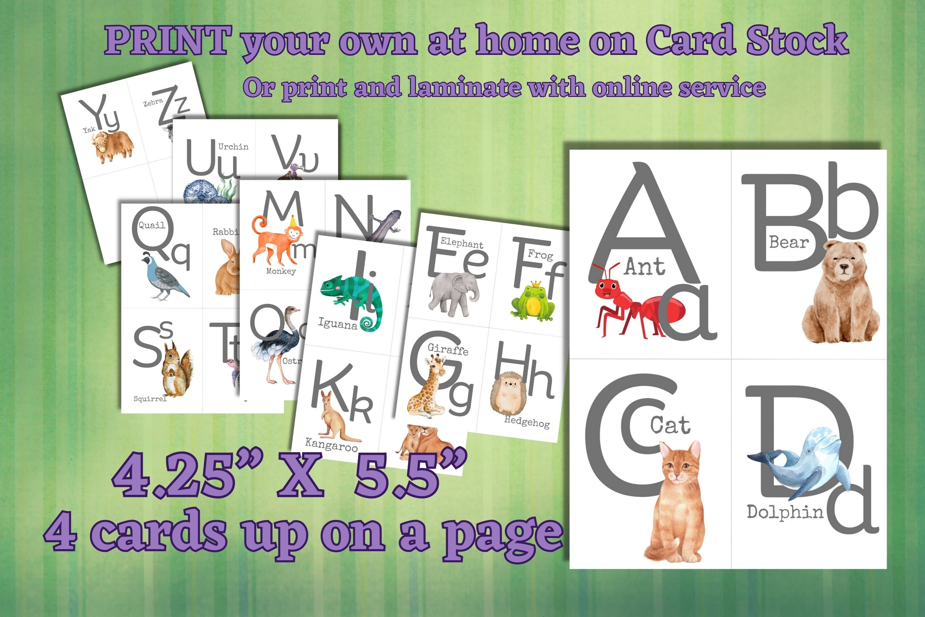 Printable Animal Alphabet Flash Cards BONUS Numerals 1 - 9 Adorable ...