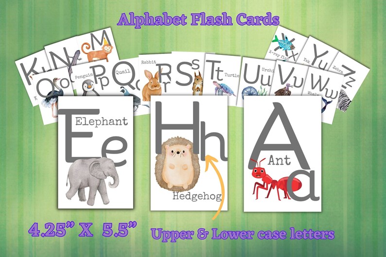 Printable Animal Alphabet Flash Cards BONUS Numerals 1 - 9 Adorable ...