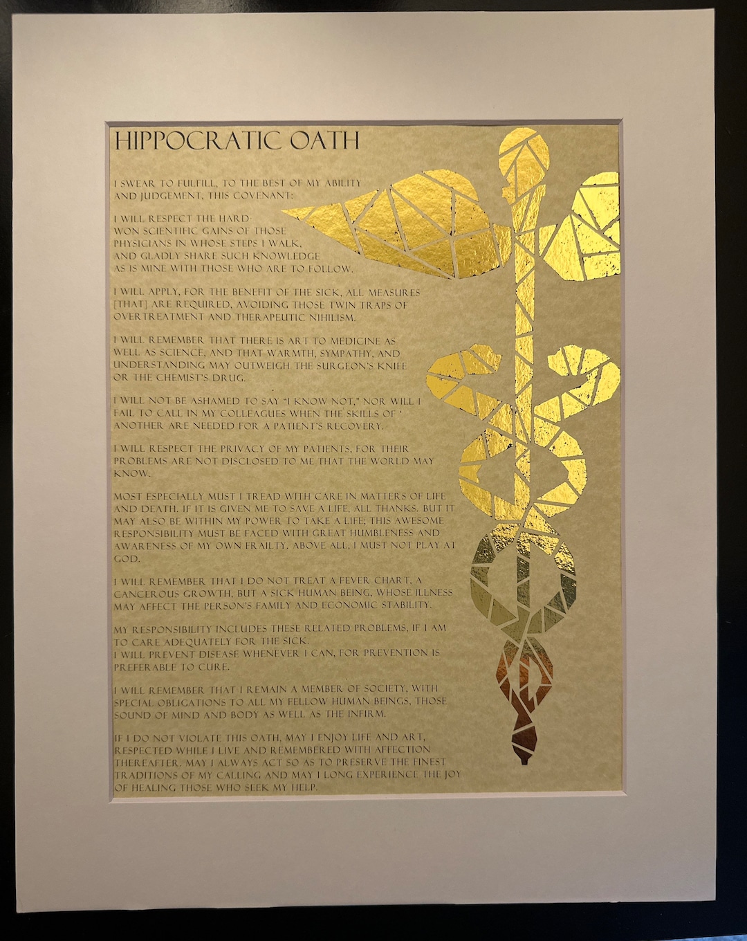 Osteopathic Oath, Hippocratic Oath, DO, MD, Physician, Doctor Gifts ...