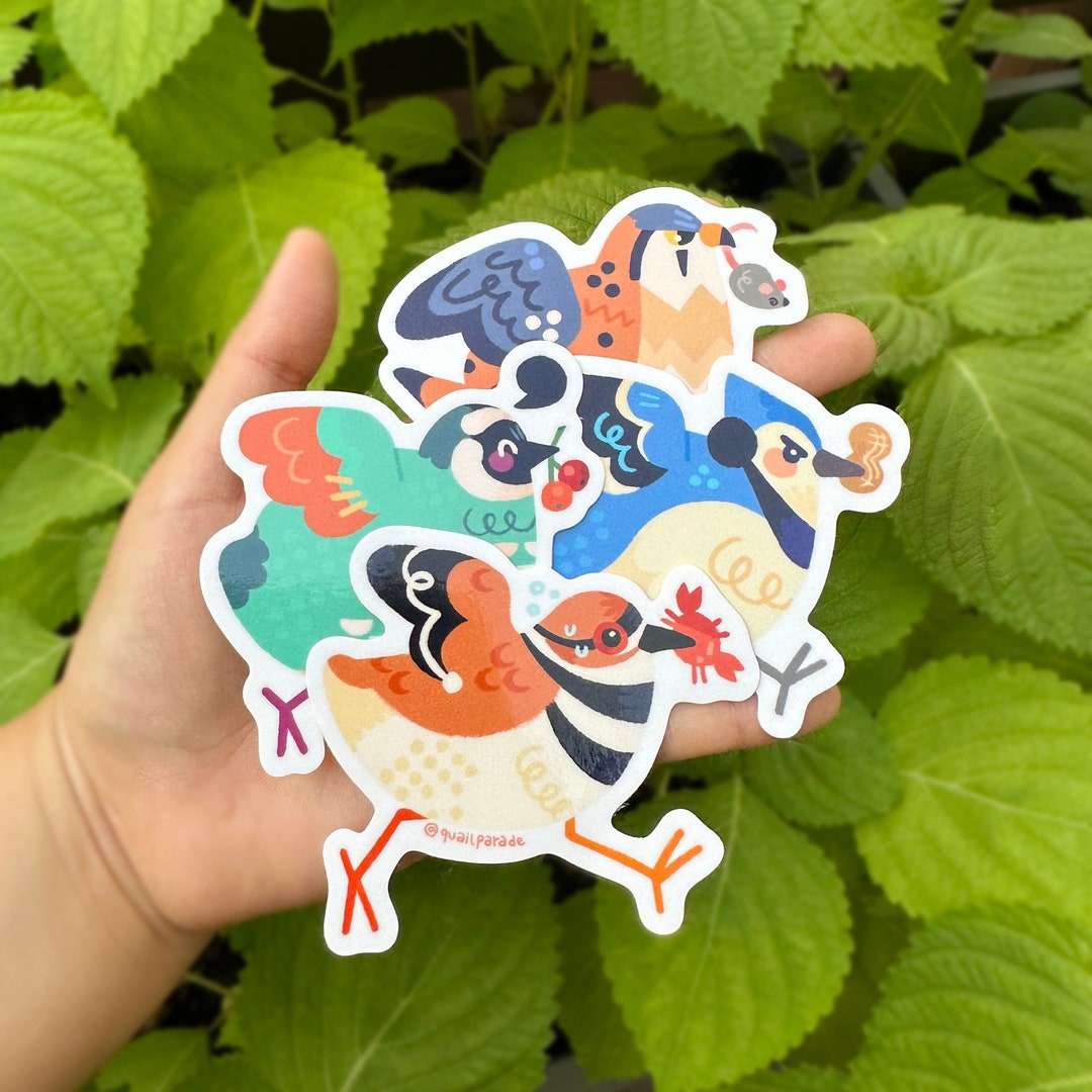 Birdrun Sticker Set - Etsy