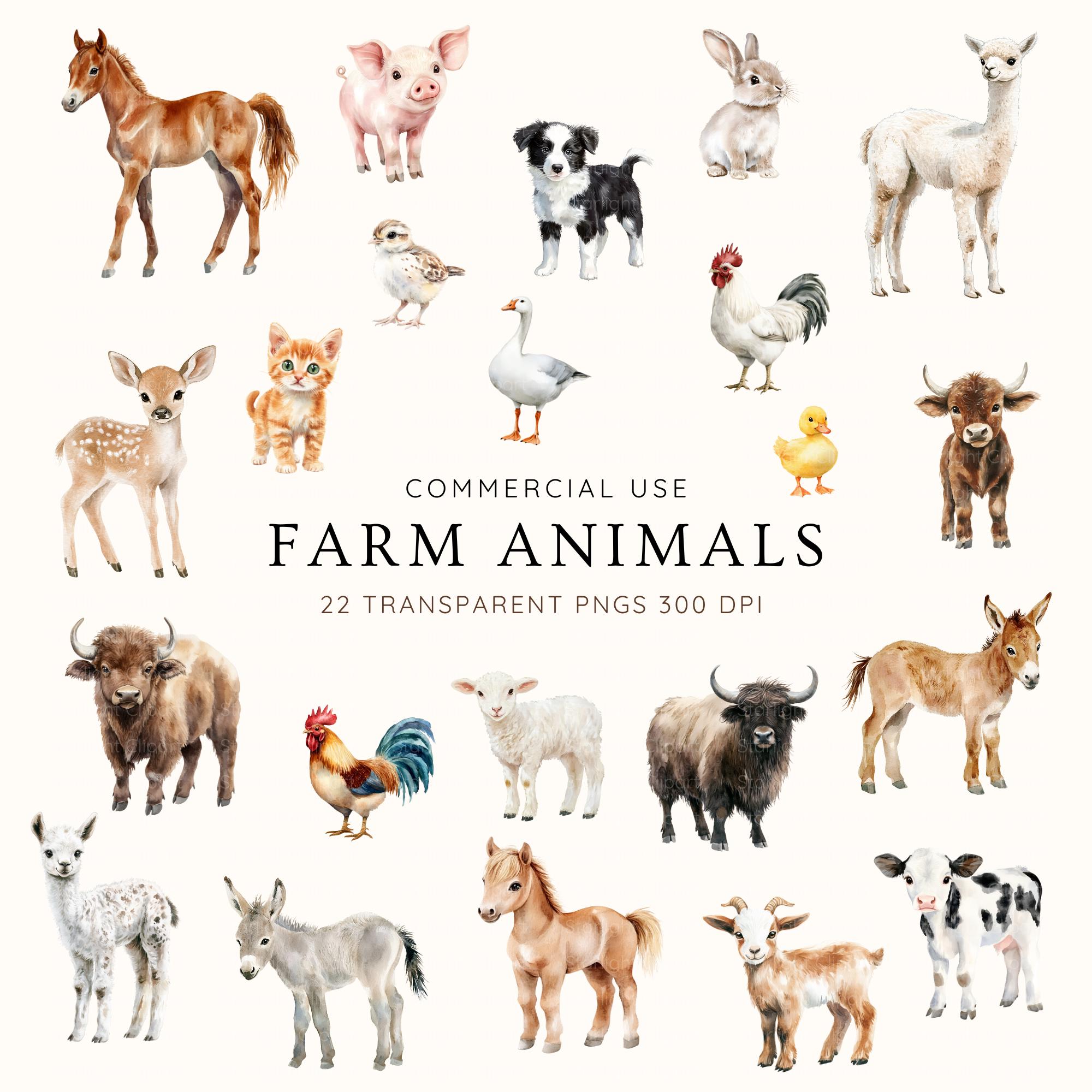 Farm Animal Clipart Bundle, 22 Cute Barnyard Animals, Rustic Farmhouse ...