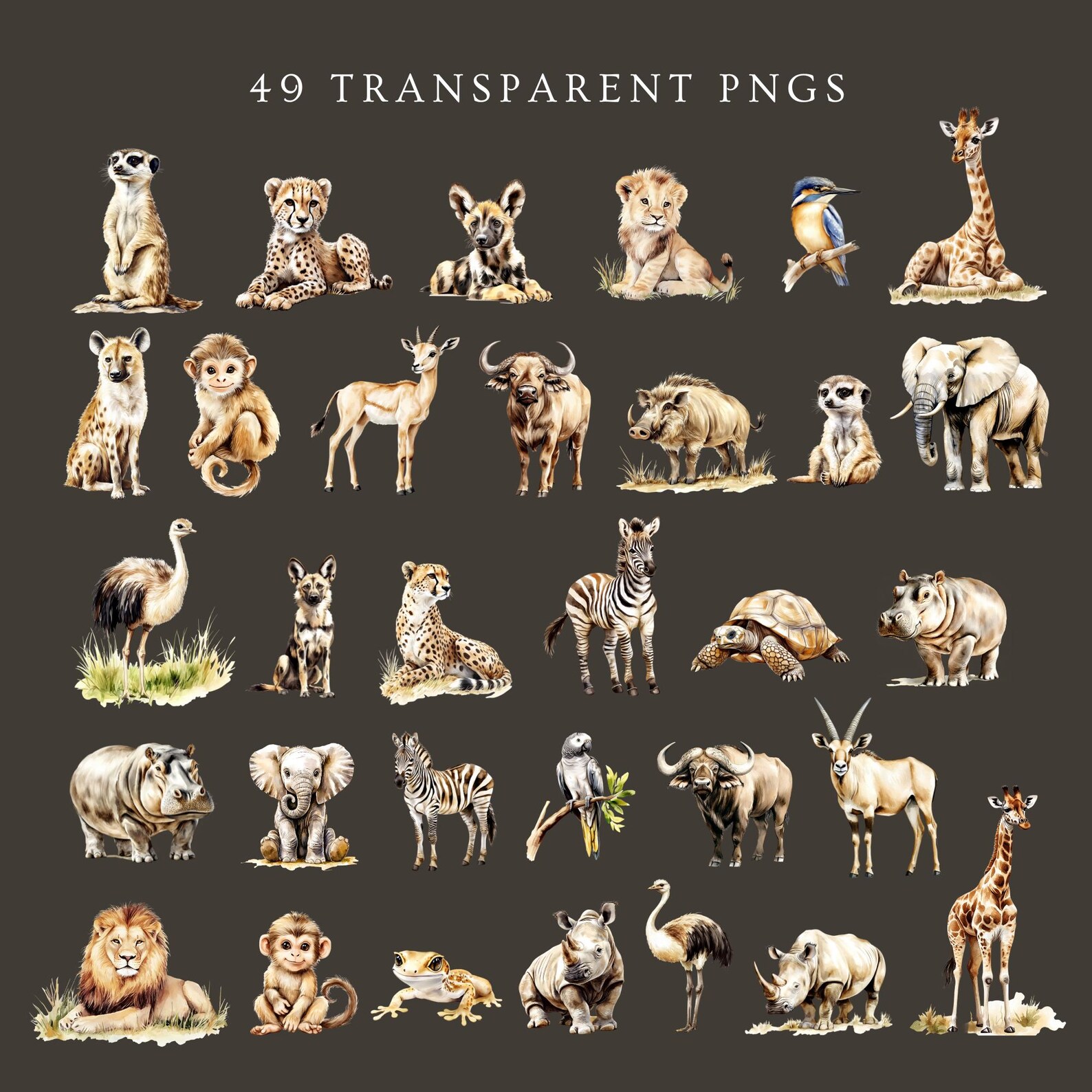 Safari Clipart Bundle, African Animals, Adventure Gear, Landscapes ...