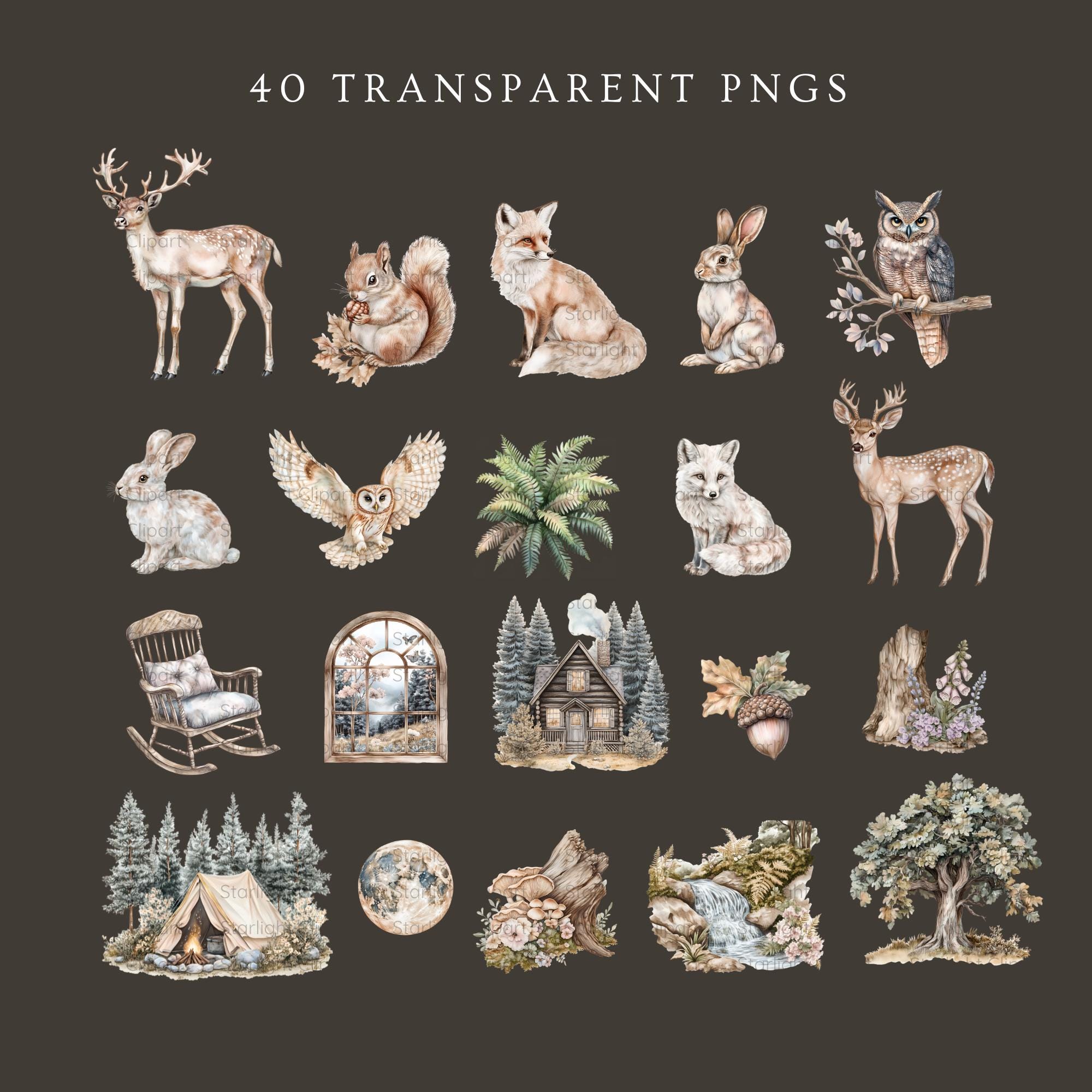 Woodland Clipart, Forest Animals PNG, Rustic Nature Illustrations ...