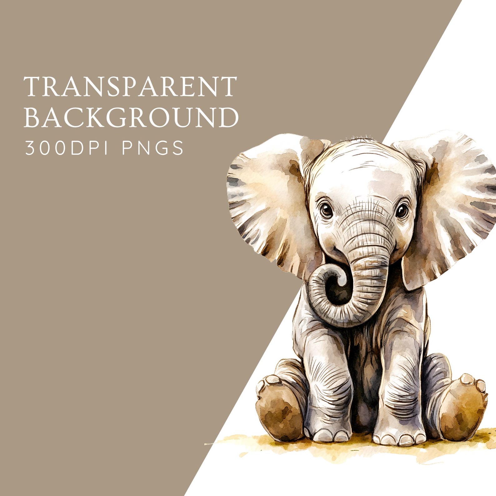 Safari Clipart Bundle, African Animals, Adventure Gear, Landscapes ...