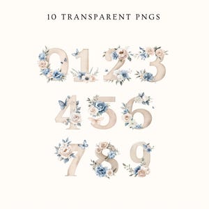 Floral Numbers Clipart 0 to 9 Pastel Number Pngs, Blush Pink, Dusty ...