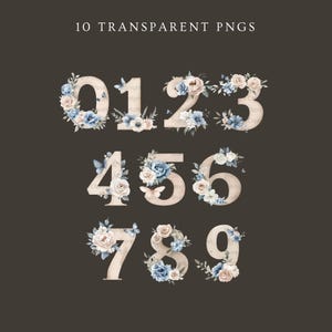 Floral Numbers Clipart 0 to 9 Pastel Number Pngs, Blush Pink, Dusty ...