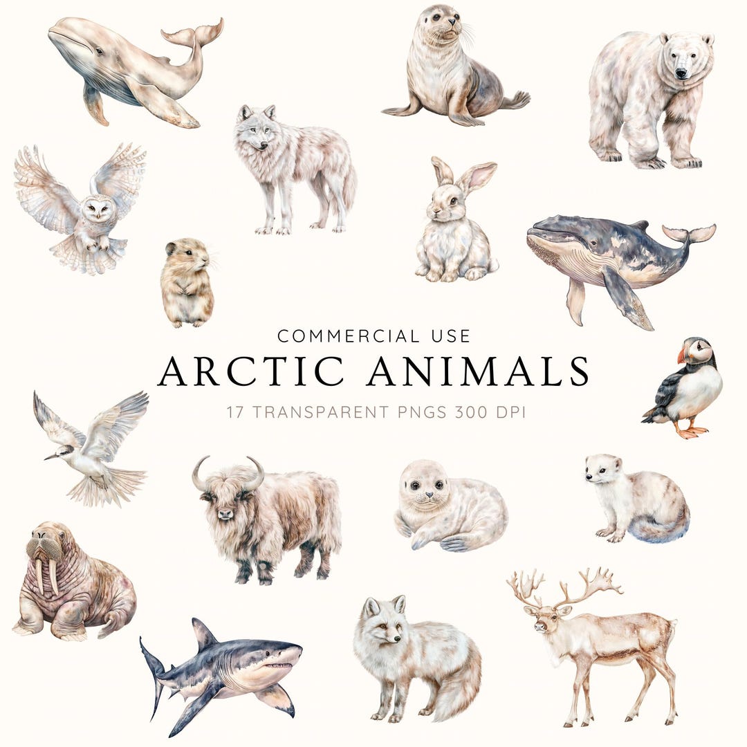 Arctic Animals Clipart, Polar Bear, Fox, Owl and More, Winter Wildlife ...