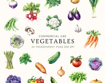 Vegetable Clipart Bundle, 24 Vegetable Pngs, Fresh Farm Produce Digital ...