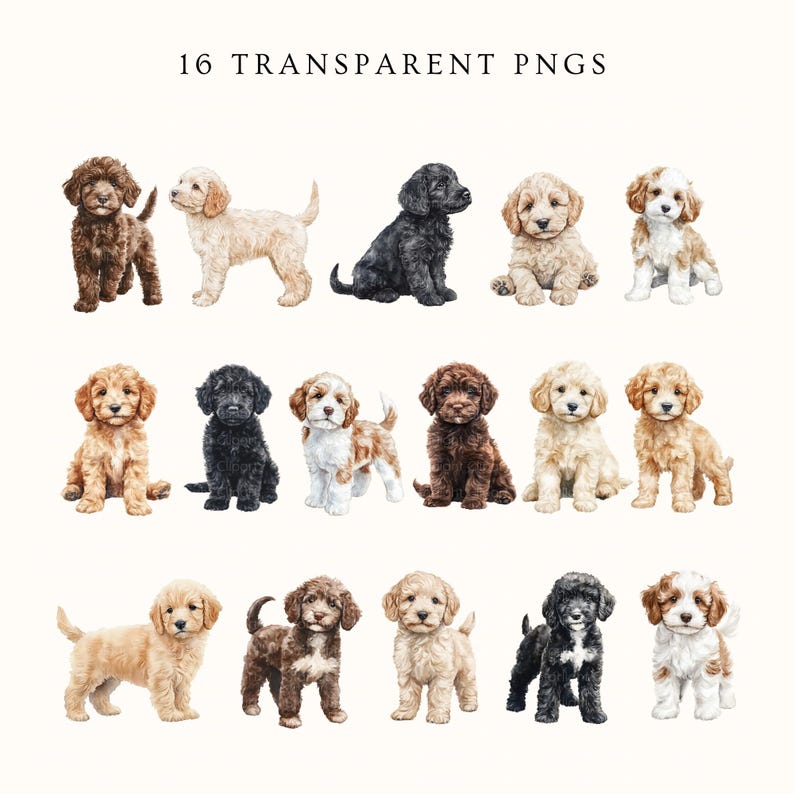 Goldendoodle Watercolor Clipart, Cute Dog PNG Set, Realistic ...