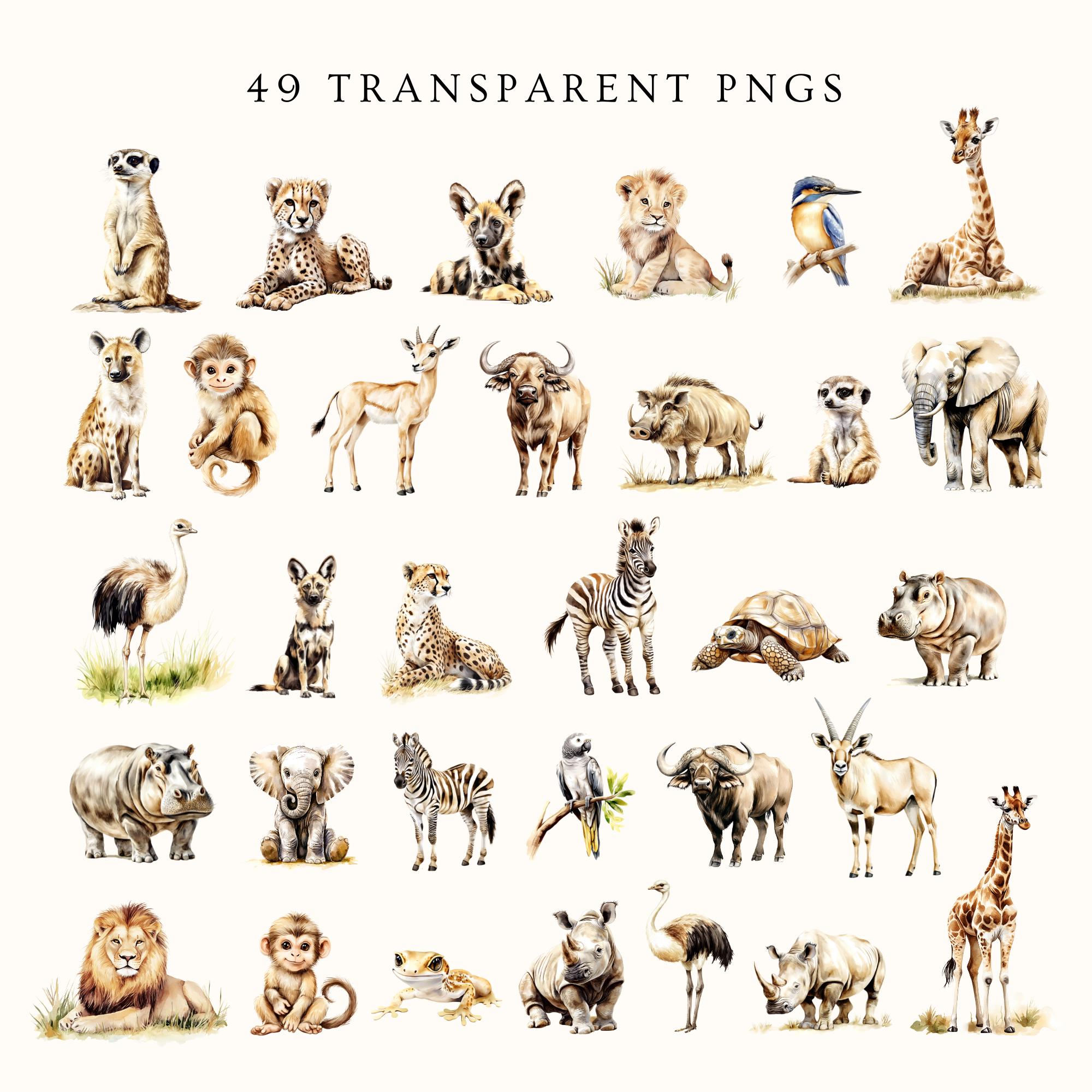 Safari Clipart Bundle, African Animals, Adventure Gear, Landscapes ...