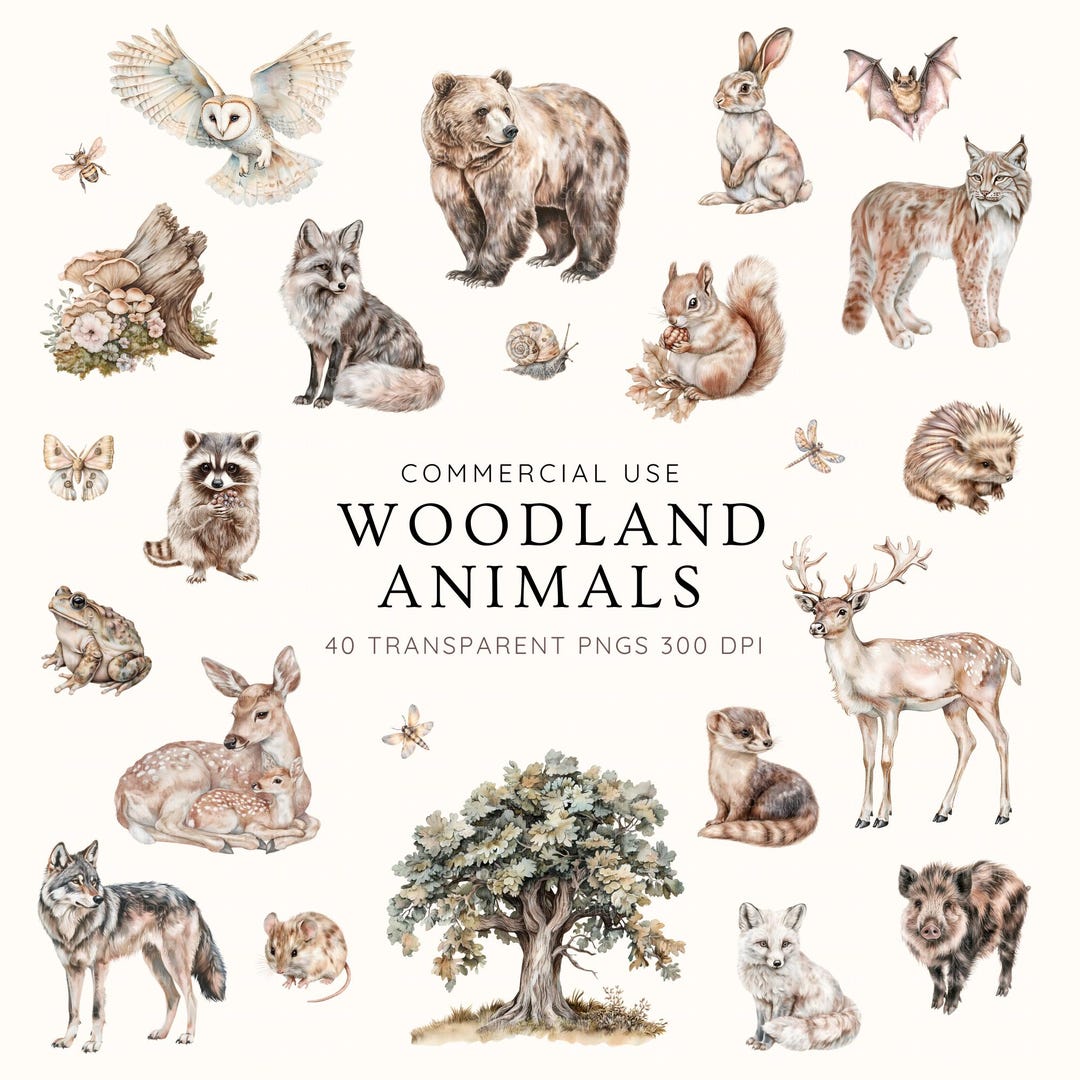 Woodland Clipart, Forest Animals PNG, Rustic Nature Illustrations ...