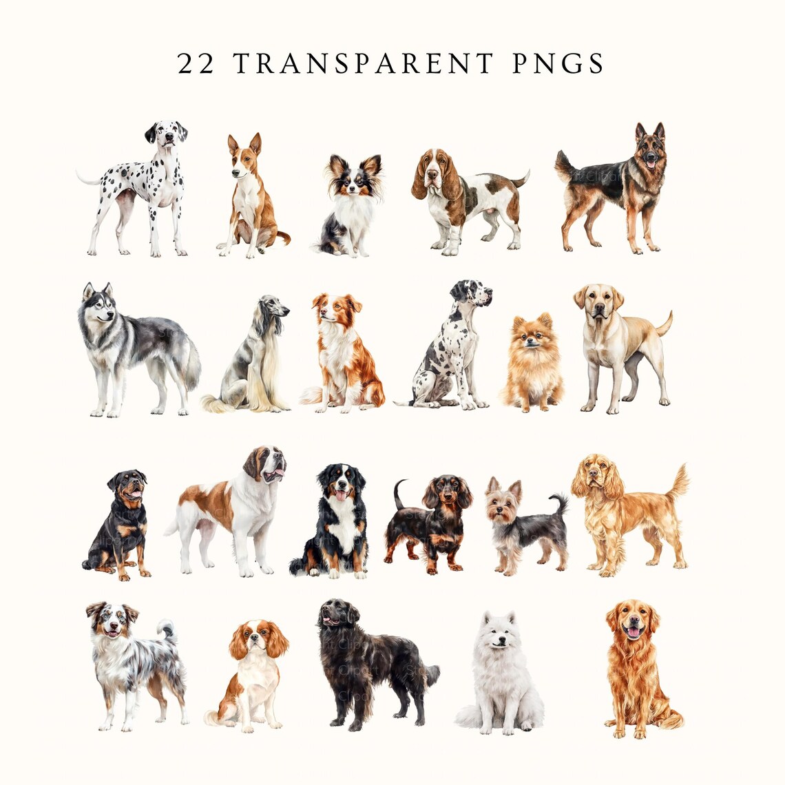 Dog Clipart Bundle, Cute Dog Breed Pngs, Cute Pet Breed Illustrations ...