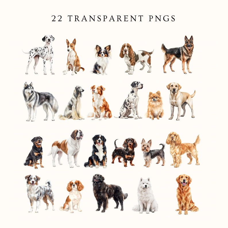 Dog Clipart Bundle, Cute Dog Breed Pngs, Cute Pet Breed Illustrations ...