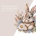 Bunny Picnic Party Clipart Bundle | Cute Spring Bunny Illustrations ...
