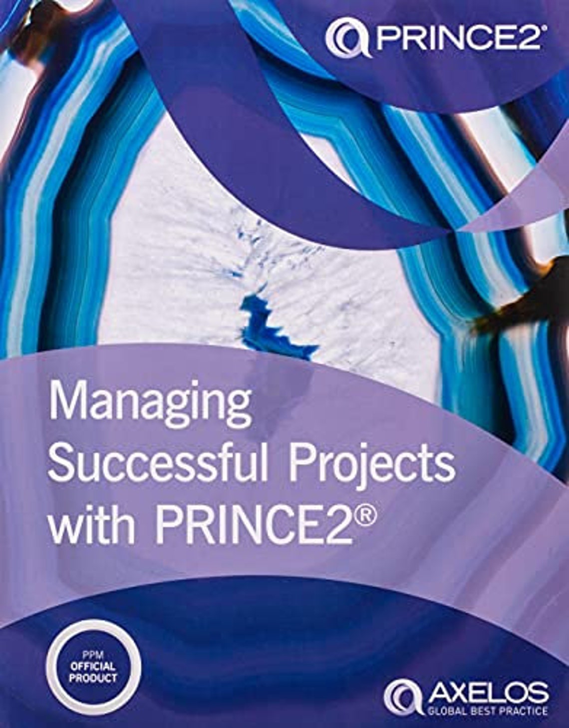 Managing Successful Projects With PRINCE2 (2017) - PDF - Etsy UK