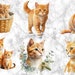 Watercolor Orange Cats Clipart. Digital Art & Sublimation. Cat Clip Art ...