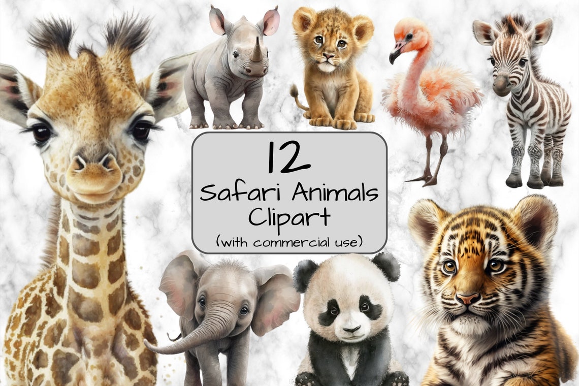 Safari Animal Clipart PNG Pack, Cute Safari Animals Clipart, Watercolor ...