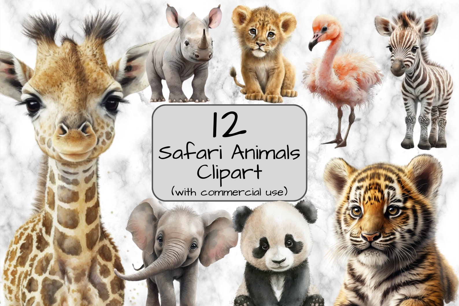 Safari Animal Clipart PNG Pack, Cute Safari Animals Clipart, Watercolor ...