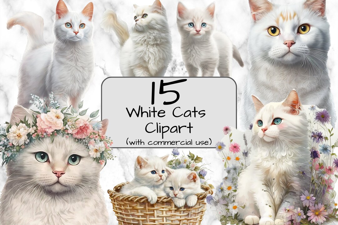 Watercolor White Cats Clipart. Digital Art & Sublimation. Cat Clip Art ...