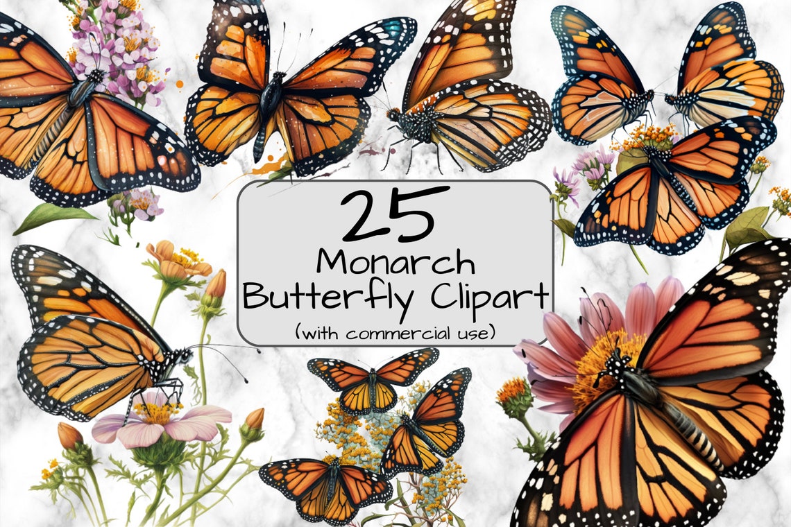 Watercolor Monarch Butterfly Clipart. Digital Art & - Etsy