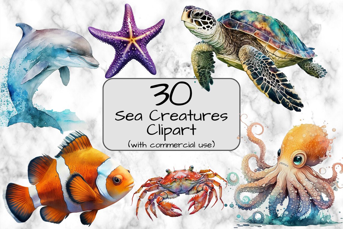 Watercolor Sea Creatures Clipart. Digital Art & Sublimation. - Etsy