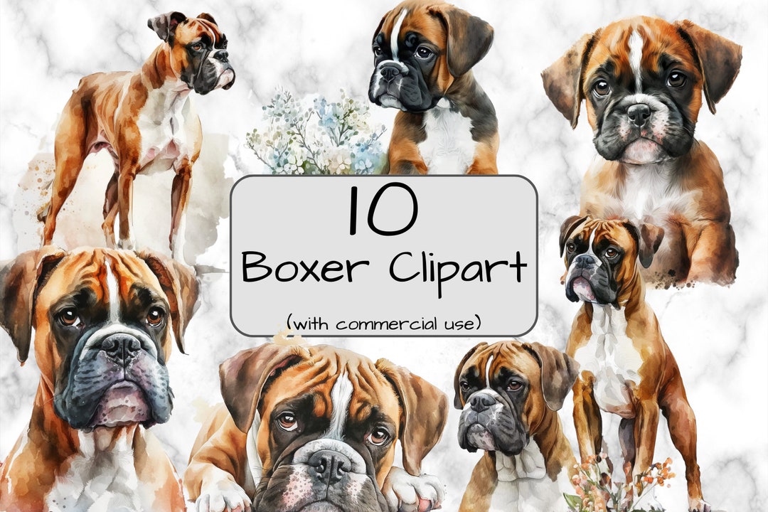 Watercolor Boxer Dog Clipart. Digital Art & Sublimation. Boxer Clip Art ...