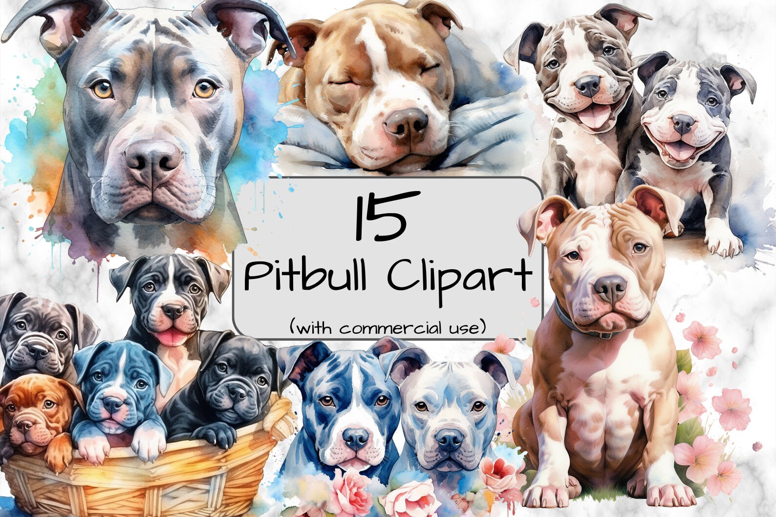 Watercolor Pitbull Clipart. Dog Clipart. PNG Format. Transparent ...
