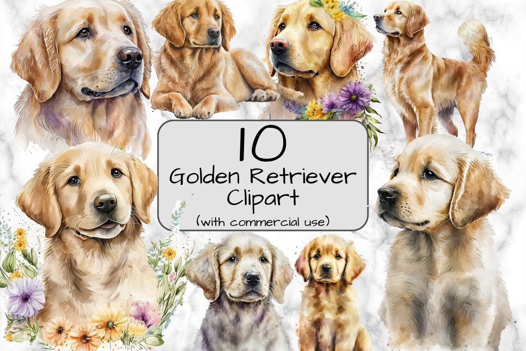 Watercolor Golden Retriever Clipart. Digital Art & Sublimation. PNG ...