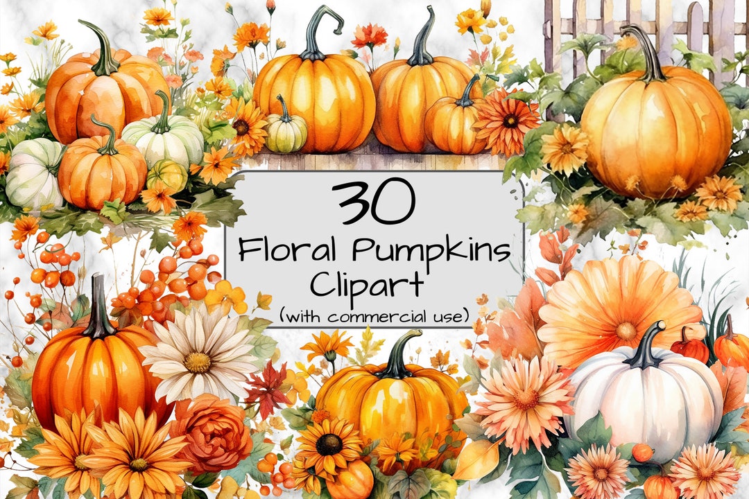 Watercolor Floral Pumpkins Clipart. Autumn Clipart. PNG Format ...