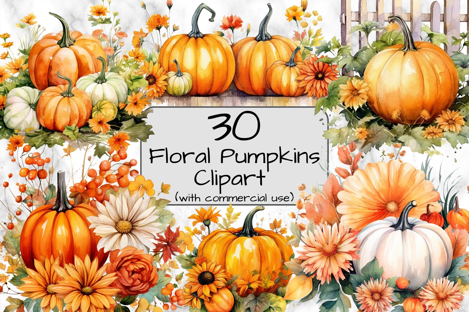 Watercolor Floral Pumpkins Clipart. Autumn Clipart. PNG - Etsy