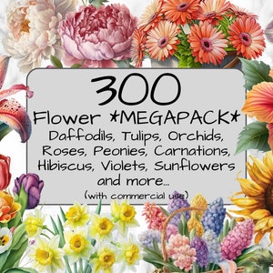 300 Flowers MEGAPACK. Watercolor Clipart. Spring Flowers. Digital Art ...